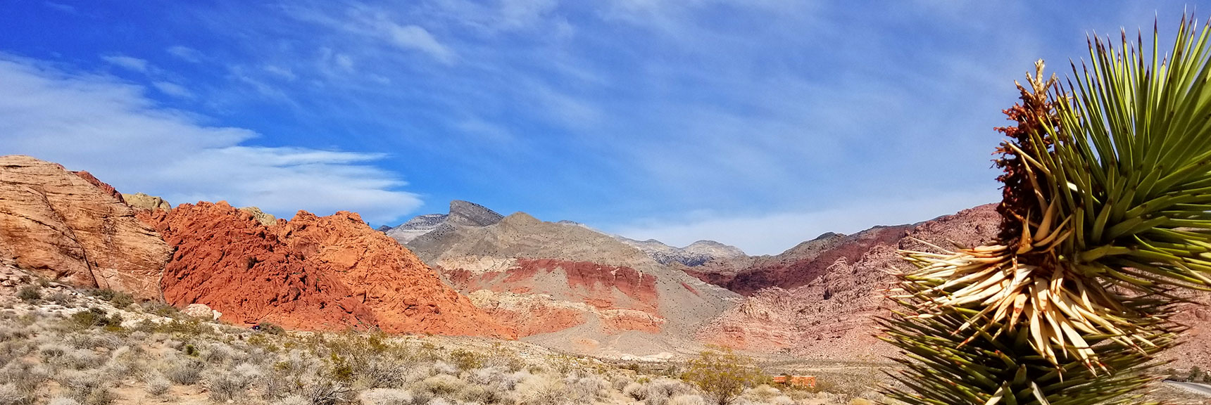 Grand Staircase | Calico Basin, Nevada | Las Vegas Area Trails