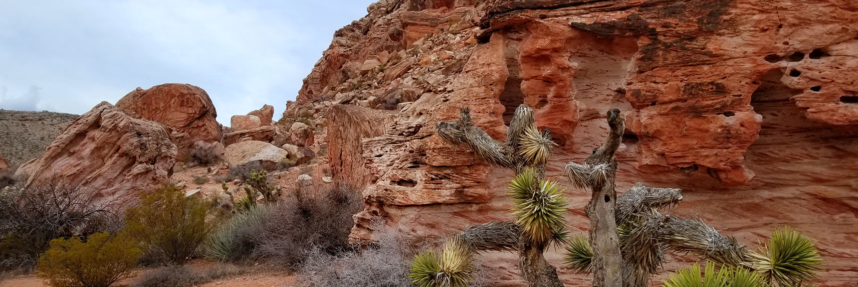 Grand Loop | Calico Basin, Red Rock, NV | Las Vegas Area Trails