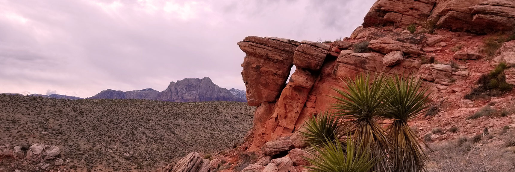 Grand Loop | Calico Basin, Red Rock, NV | Las Vegas Area Trails