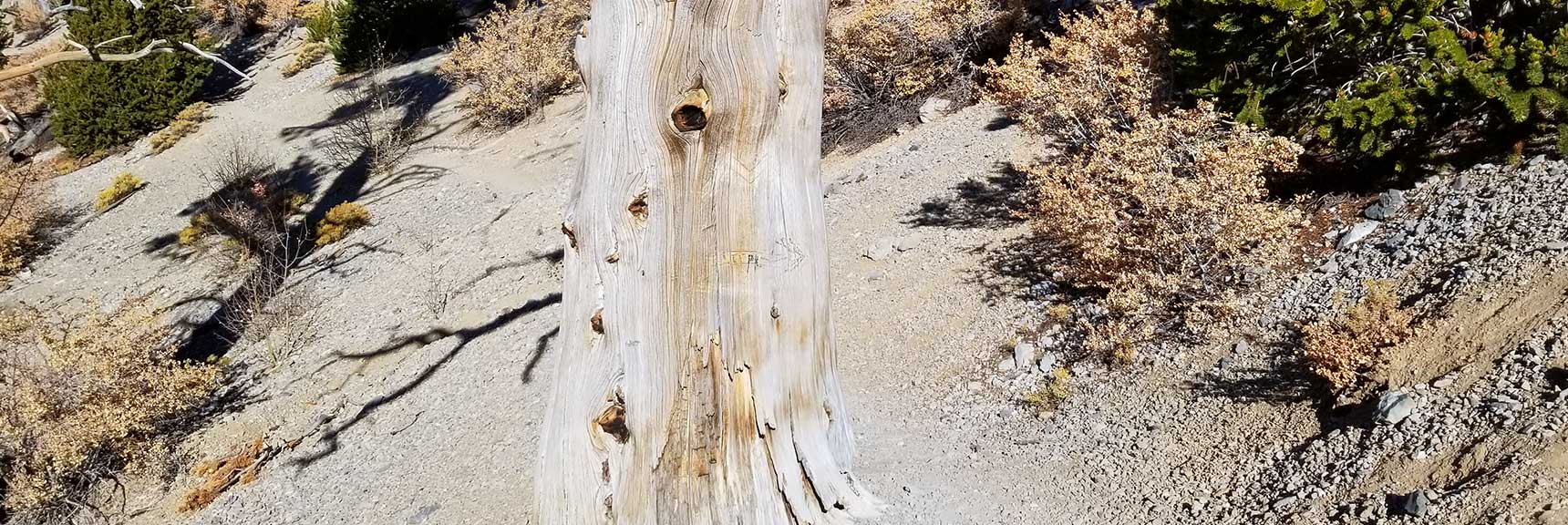 Six-Peak Circuit in the Spring Mountains, Nevada - Strategy | Las Vegas Area Trails
