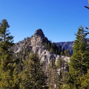 Mt Charleston Wilderness Kyle Canyon, NV | Las Vegas Area Trails