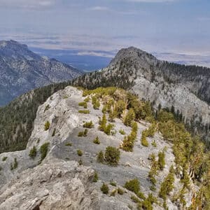 Mt Charleston Wilderness Kyle Canyon, NV | Las Vegas Area Trails