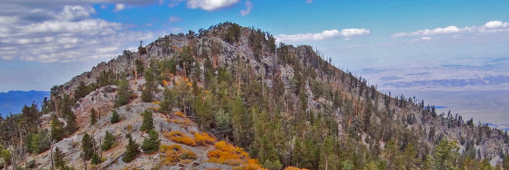 Bonanza Peak from Bristlecone Pine Trail | Lee Canyon | Spring ...