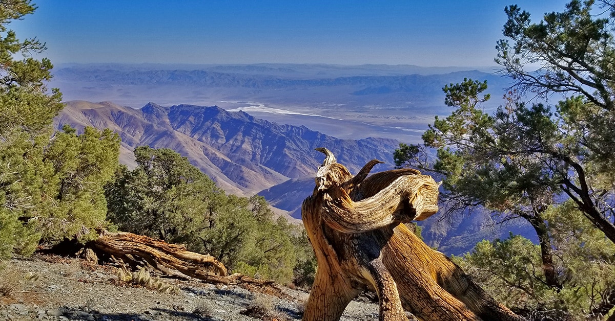 Adventure Website Design and Admin | Las Vegas Area Trails