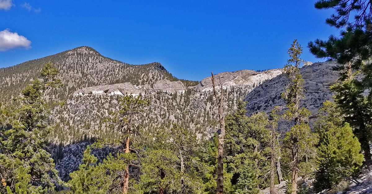 Bonanza Peak | Lee Canyon, Nevada | Las Vegas Area Trails