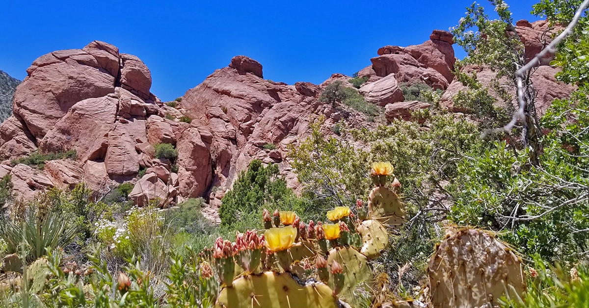 01 Calico and Brownstone Basins Nevada Overview | Las Vegas Area Trails