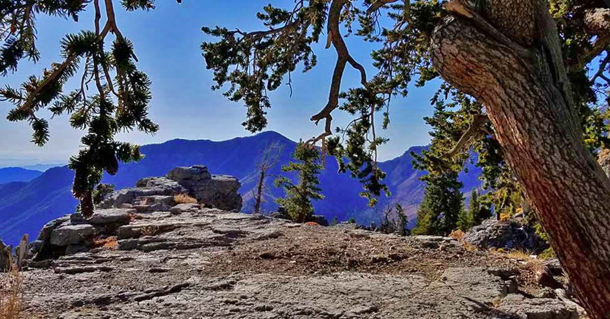 Cockscomb Ridge Wilderness Circuit, NV | Las Vegas Area Trails