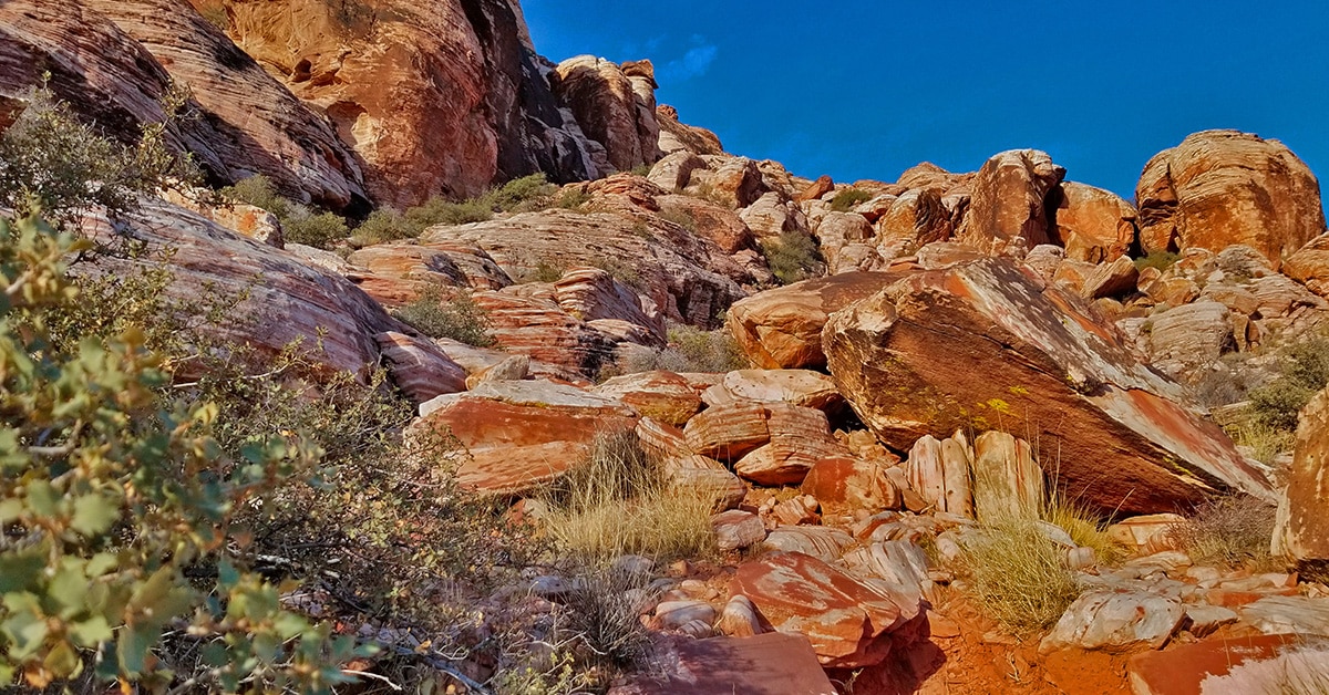Grand Staircase | Calico Basin, Nevada | Las Vegas Area Trails