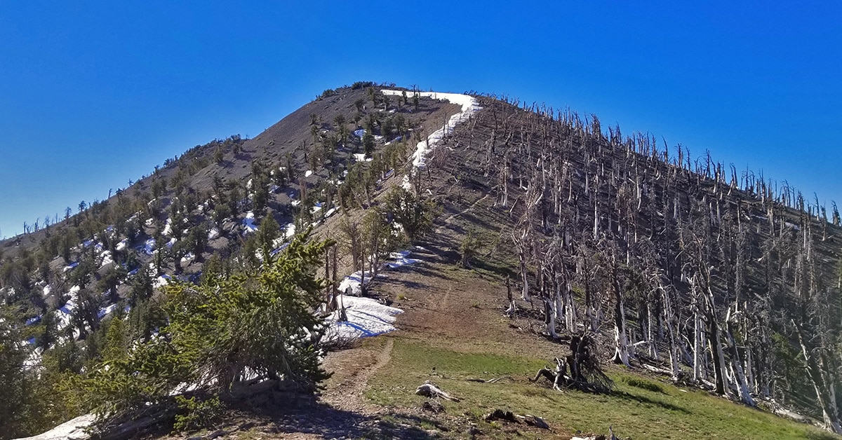 Griffith Peak | Mt Charleston Wilderness | Spring Mountains, Nevada ...