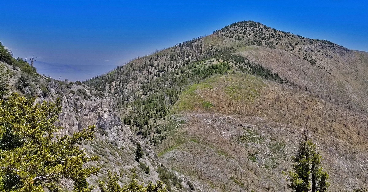 Harris Mountain | Griffith Peak Circuit, NV | Las Vegas Area Trails