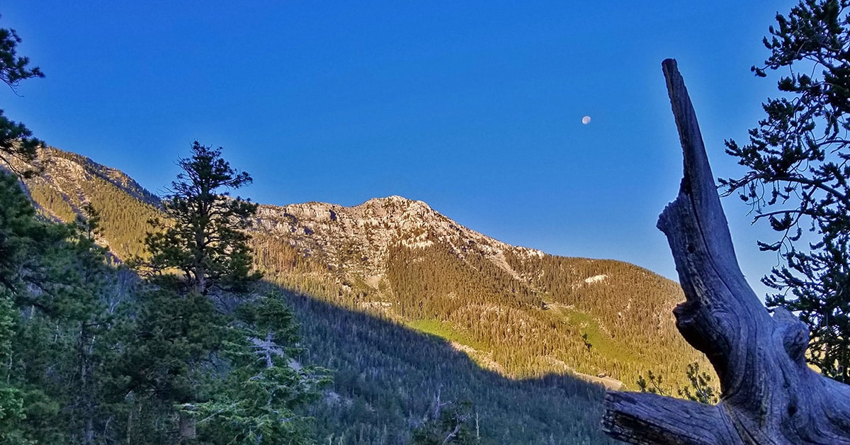 Lee Peak Summit, Lee Canyon Mid Ridge | Las Vegas Area Trails