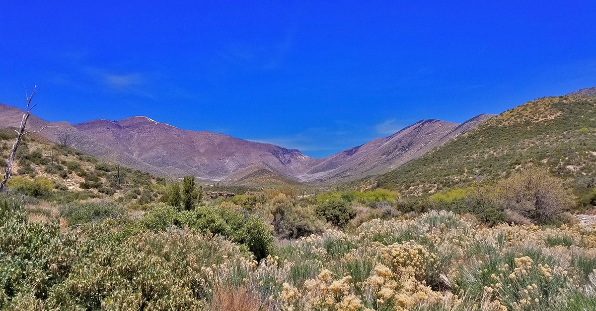Lovell Canyon | La Madre Mts, NV Archives | Las Vegas Area Trails