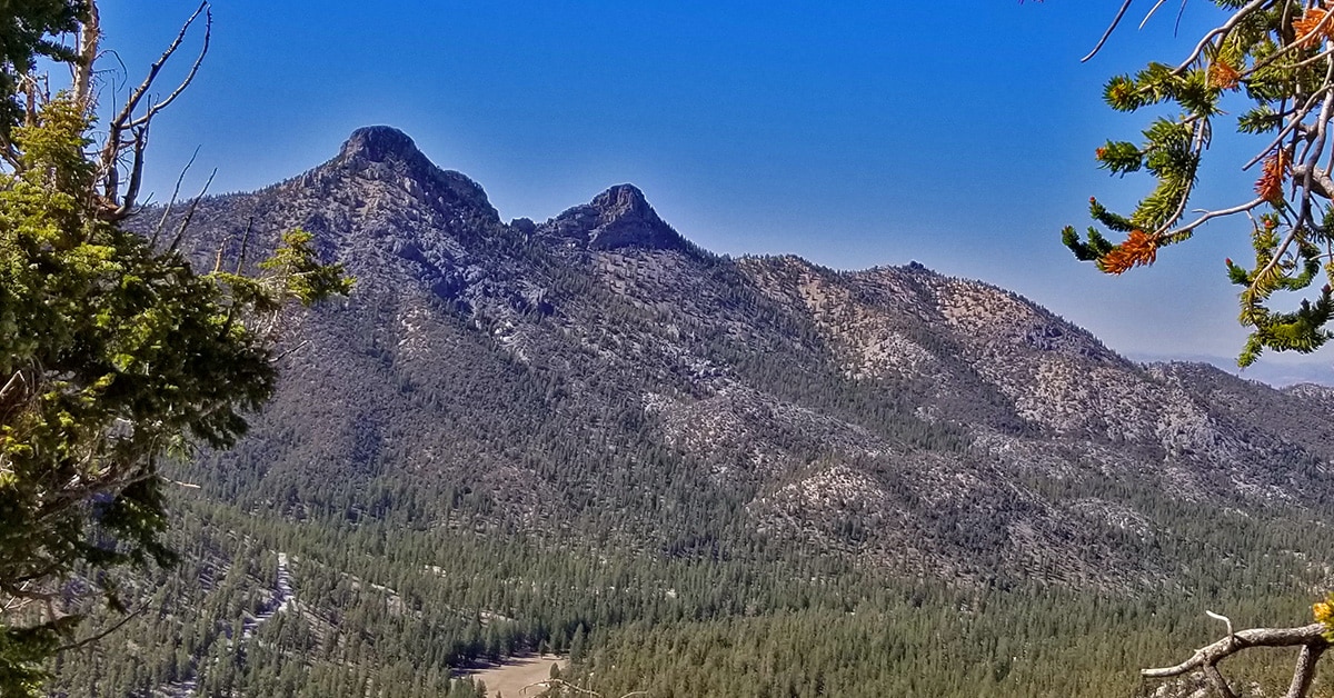Mt Charleston Wilderness Lee Canyon | Las Vegas Area Trails