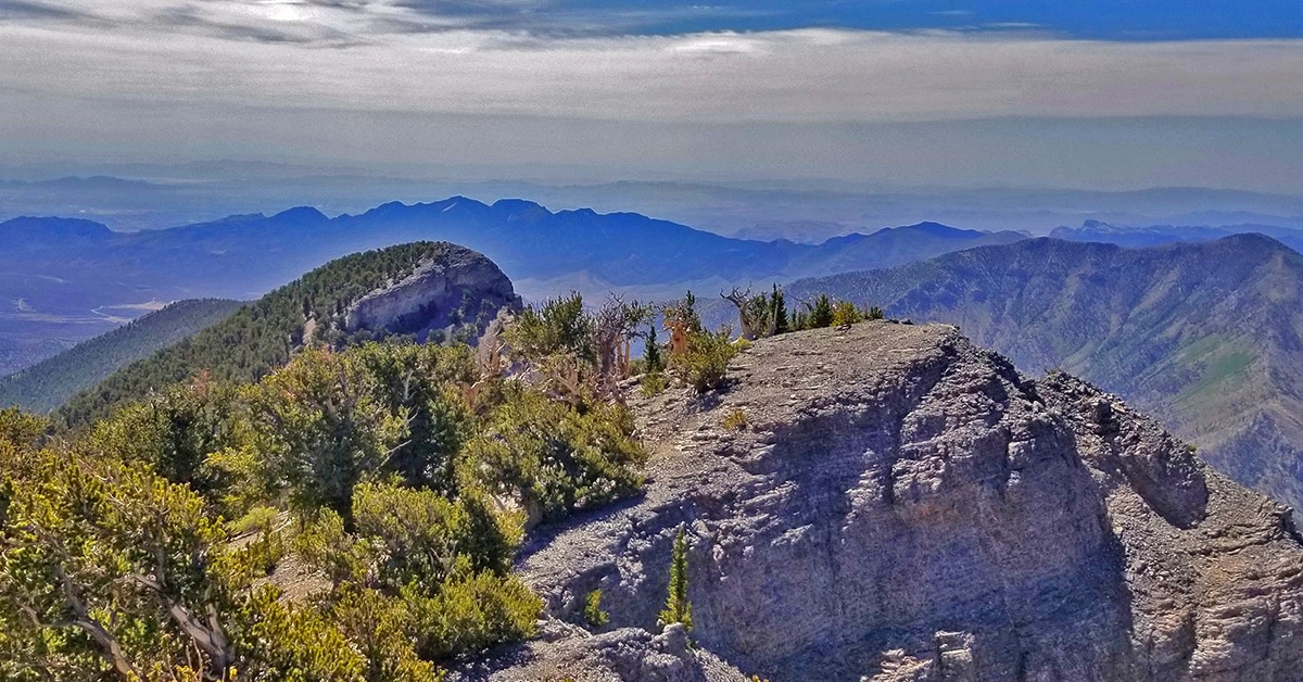 Mummy Mountain Knees, Nevada | Las Vegas Area Trails