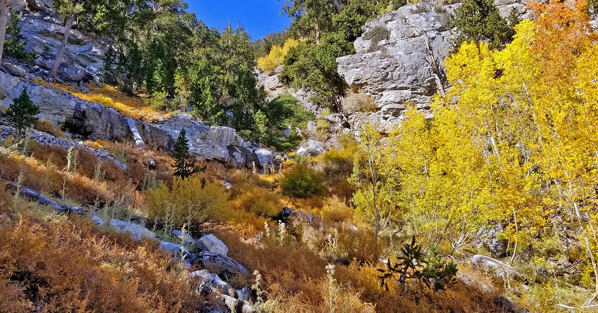Mummy Springs Loop, Nevada | Las Vegas Area Trails