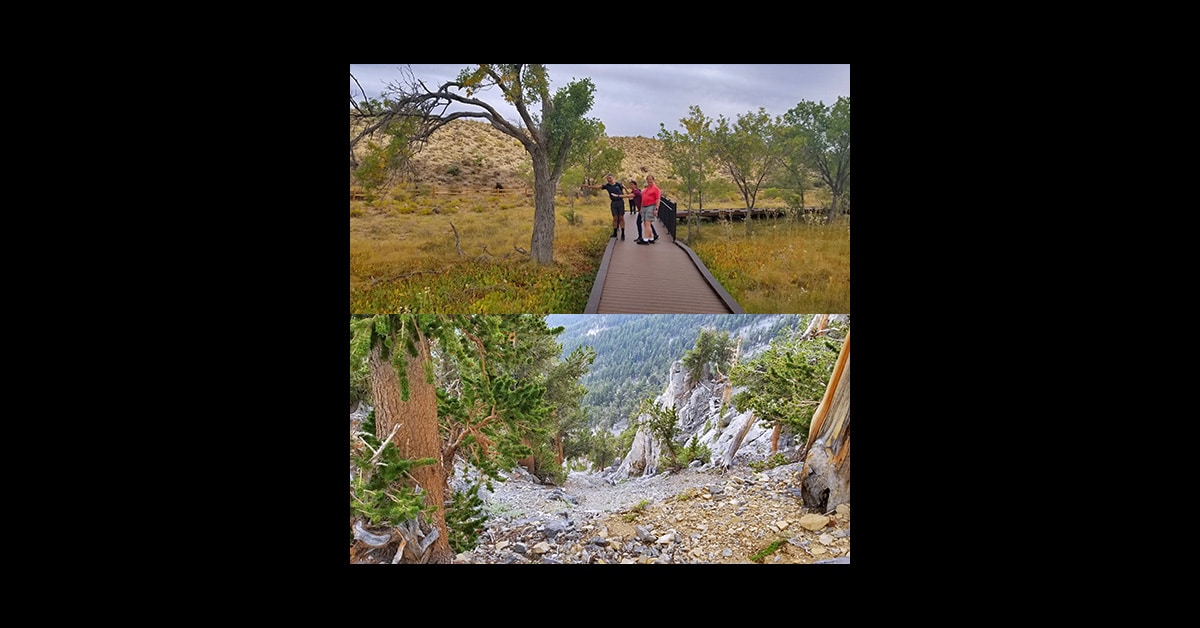 Plan Wilderness Adventure by Complexity | Las Vegas Area Trails