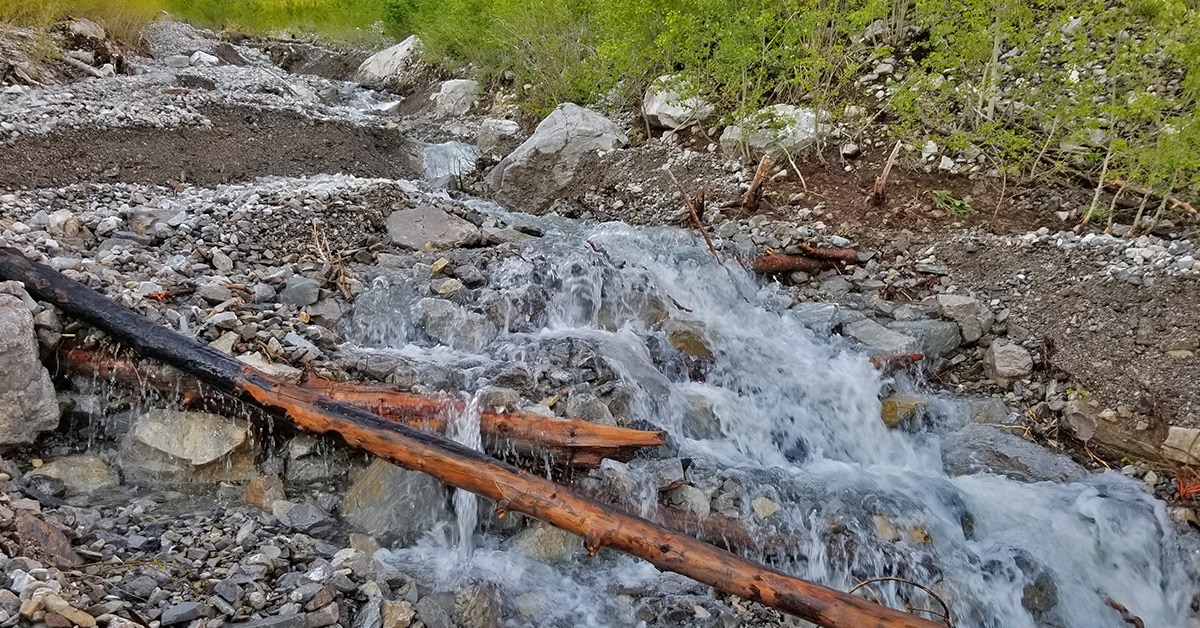 Water in the Desert, Southwest US | Las Vegas Area Trails