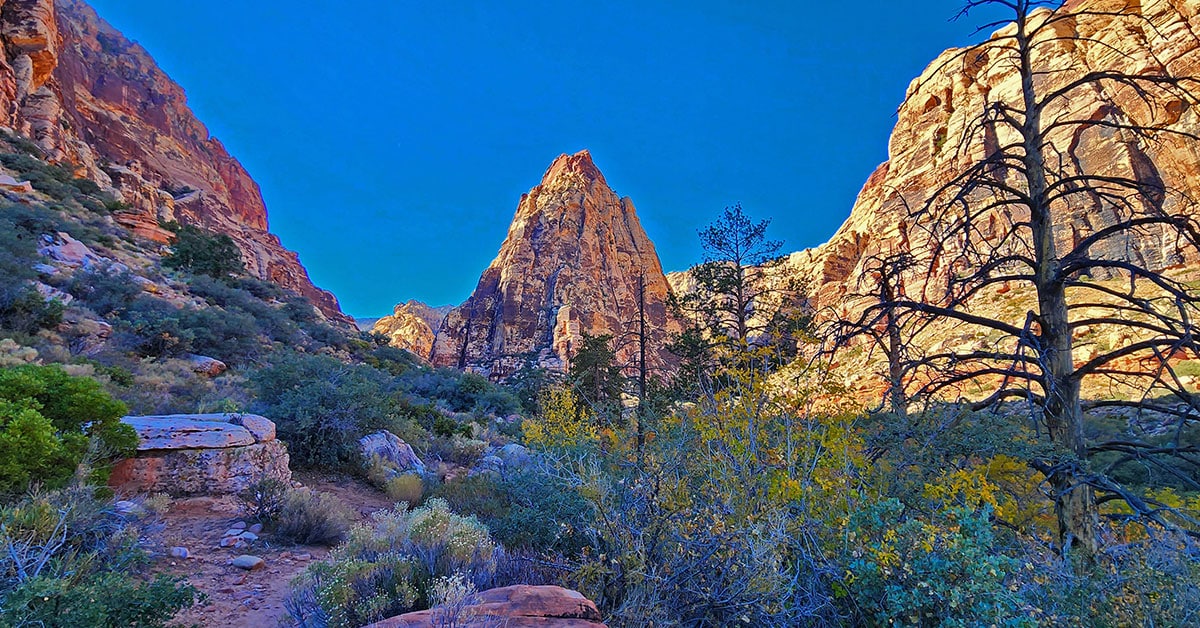 Rock Climbing | Pine Creek Canyon, NV | Las Vegas Area Trails