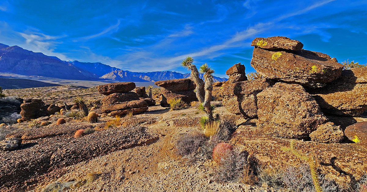Western Trails | Blue Diamond Hill, Nevada Las Vegas Area Trails