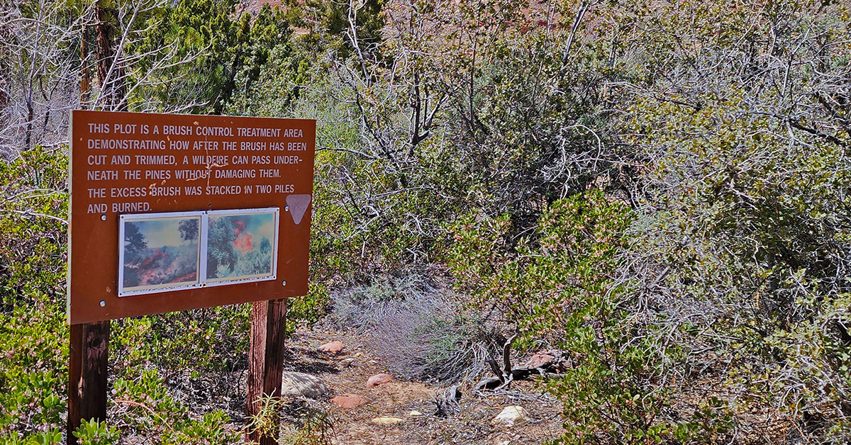 Fire Ecology Trail | Red Rock Canyon | Las Vegas Area Trails