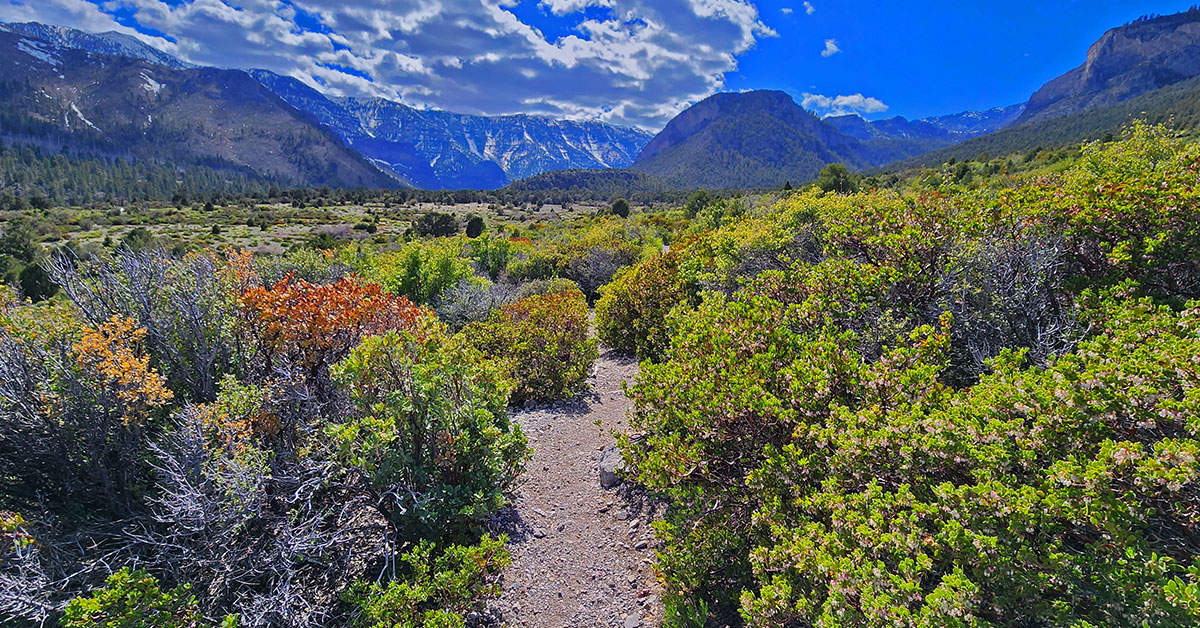 Eagles Nest Loop | Nevada | Las Vegas Area Trails