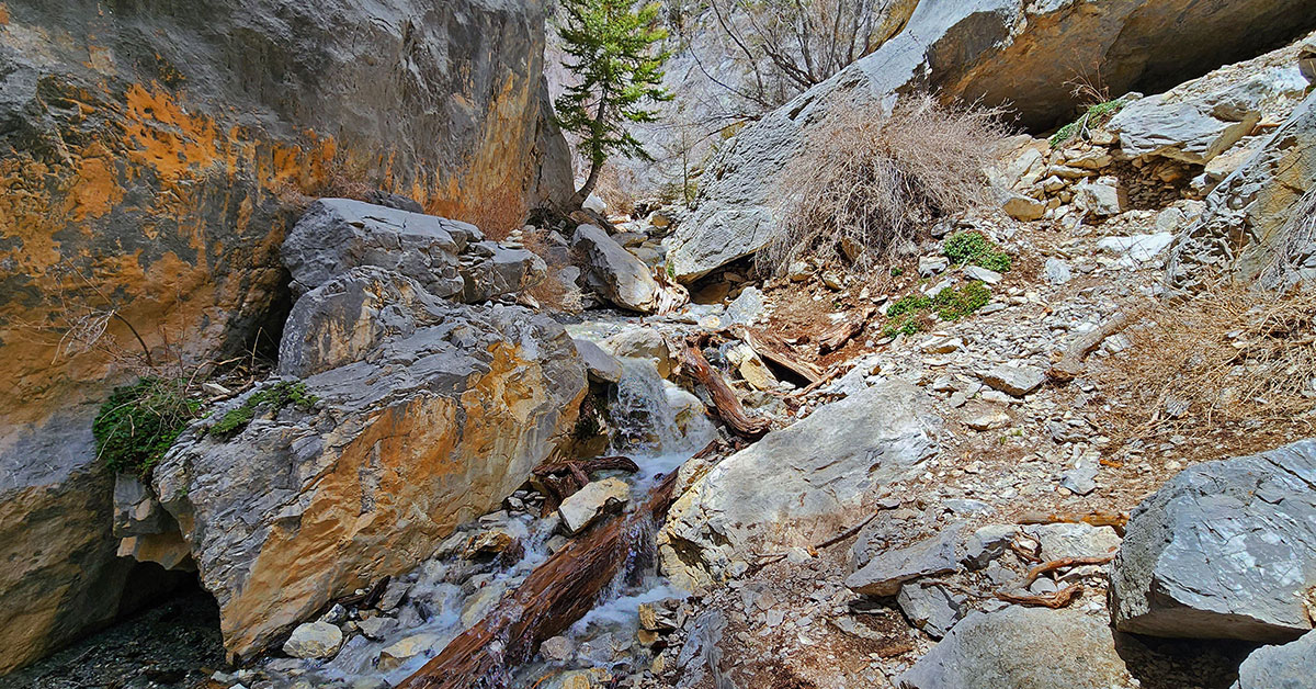 Fletcher Canyon Trail, Nevada | Las Vegas Area Trails