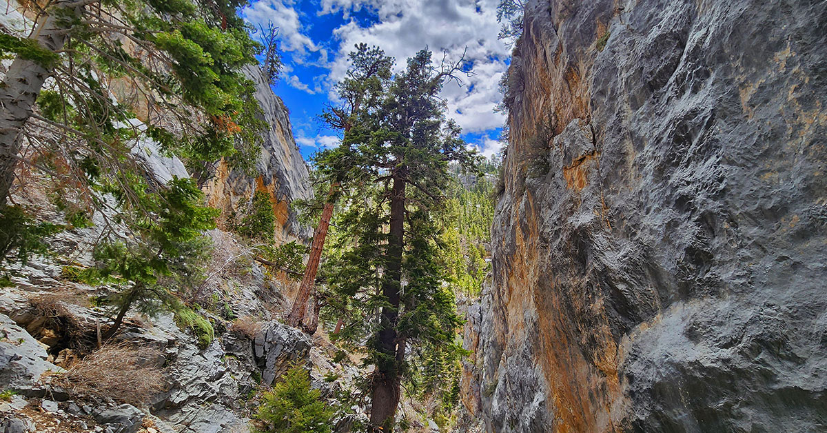 Fletcher Canyon Trails Overview, Nevada | Las Vegas Area Trails