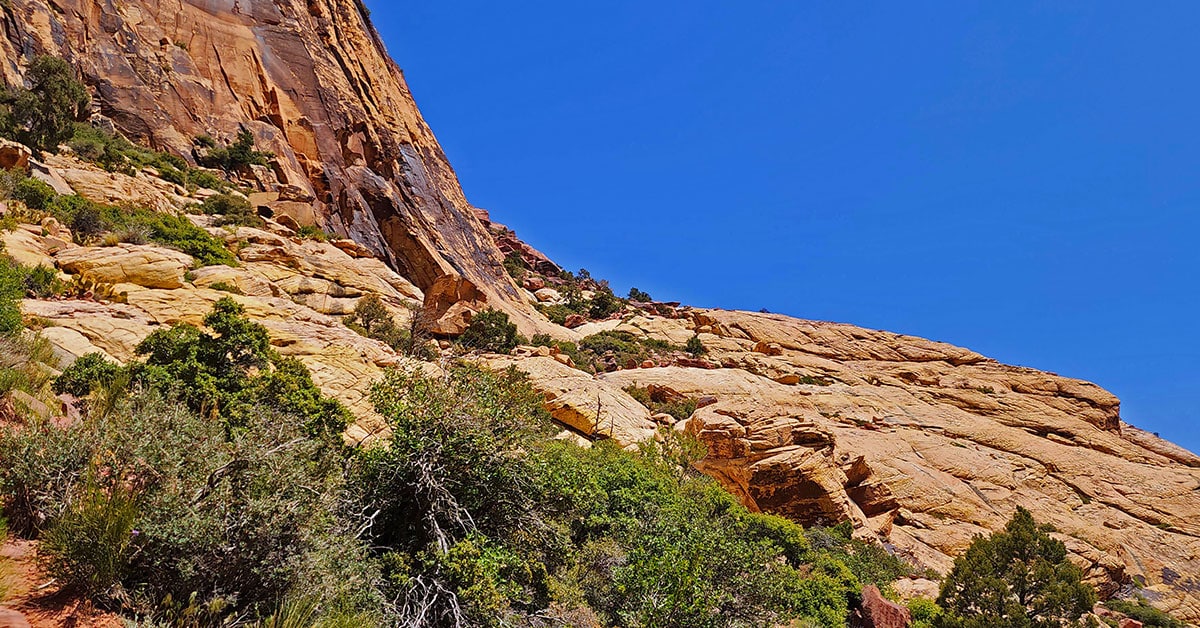 Juniper Peak Summit Base Exploration, NV | Las Vegas Area Trails