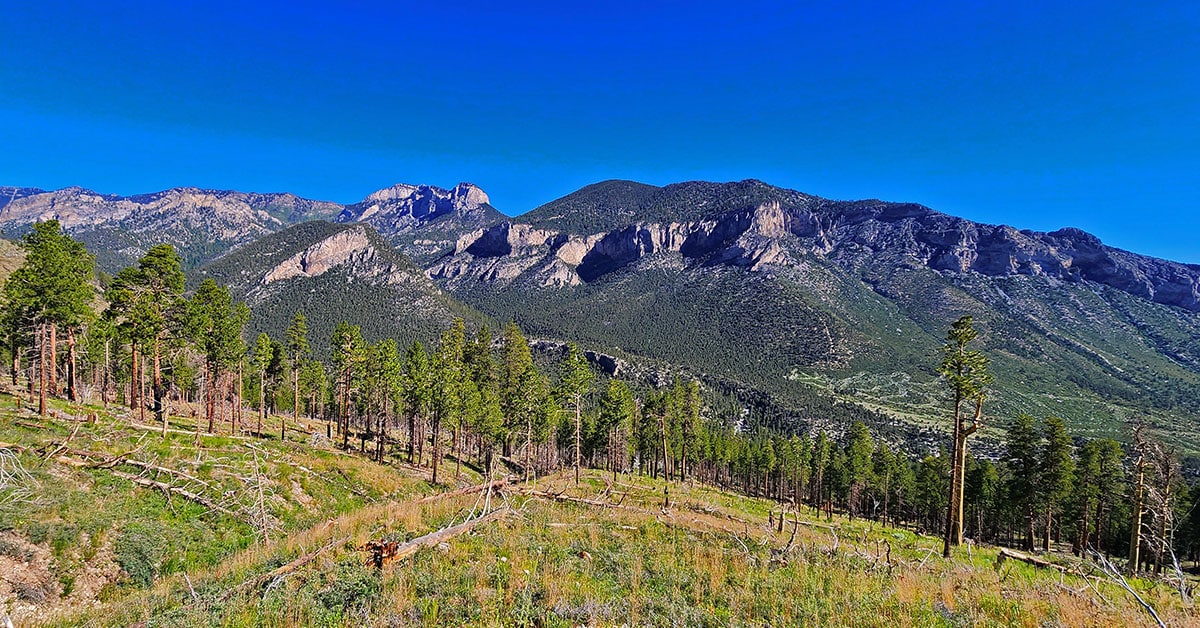 Fletcher View Ridge | Mt Charleston Wilderness, Nevada | Las Vegas Area ...