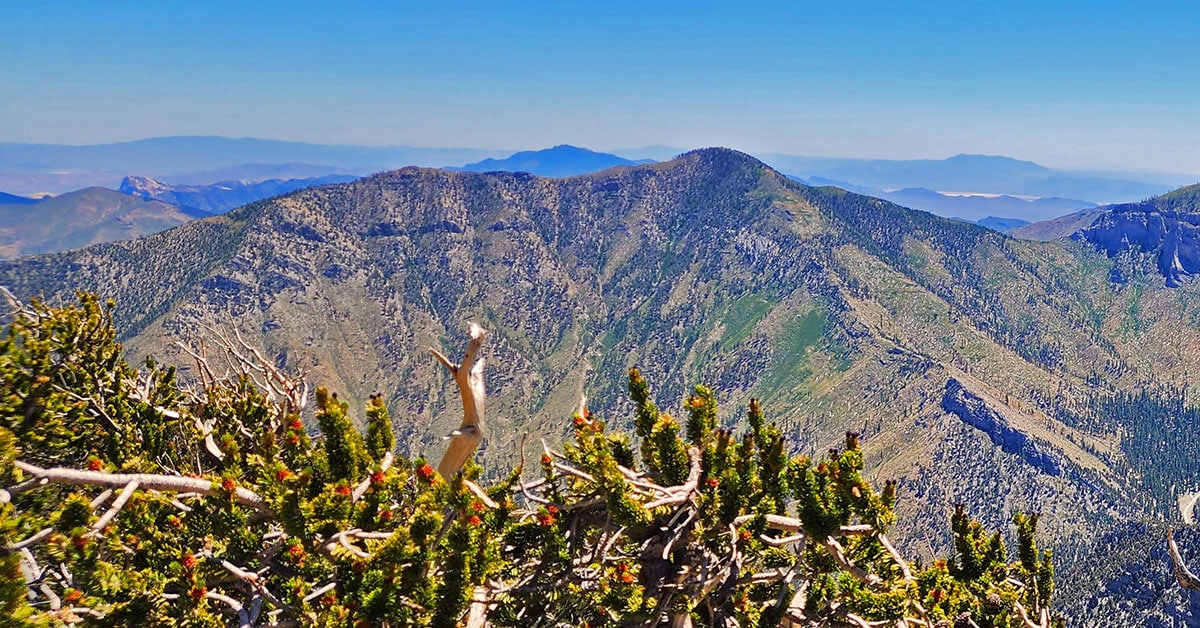 Harris Mountain Triangle, Mt Charleston Wilderness, Nevada | Las Vegas ...