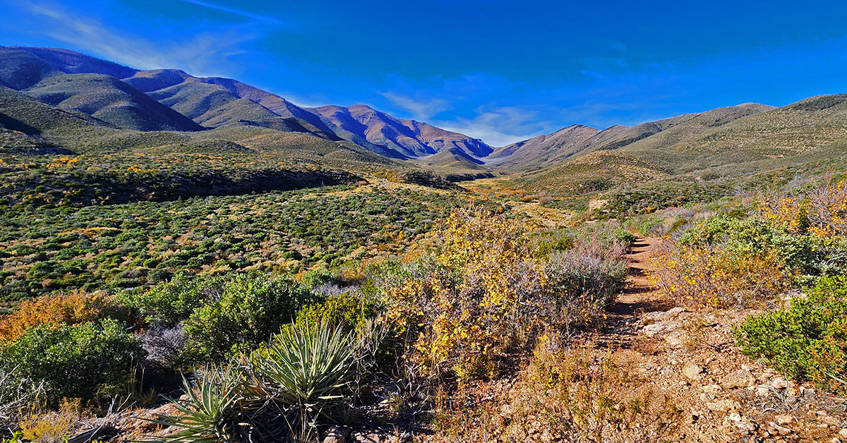Griffith Shadow Loop | Lovell Canyon, Nevada | Las Vegas Area Trails