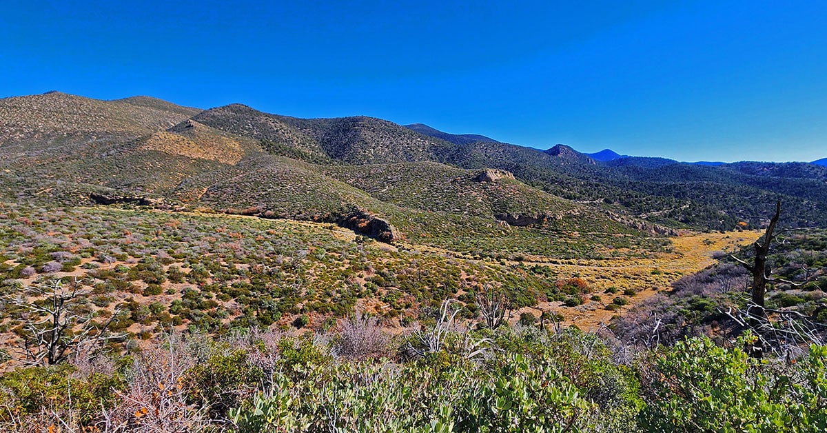 Schaefer Springs Loop | Lovell Canyon, Nevada | Las Vegas Area Trails