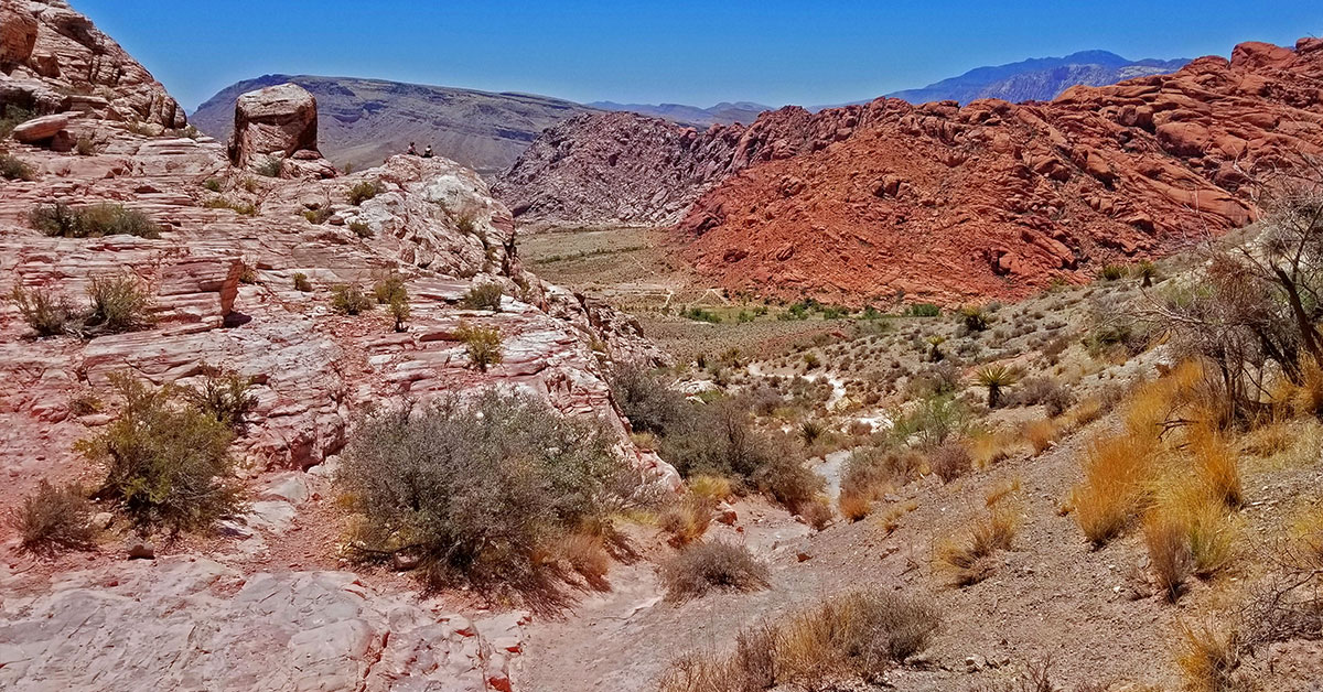 Pink Goblin Loop | Calico Basin, Nevada | Las Vegas Area Trails