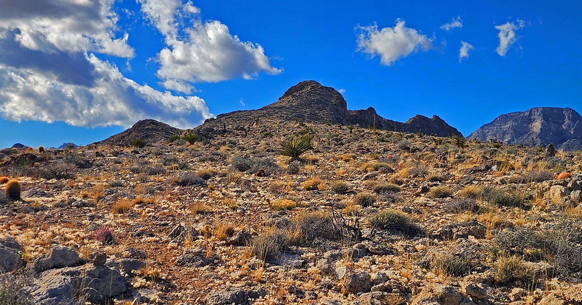 Gray Cap Ridge Southeast Summit | La Madre Mountains, Nevada | Las ...