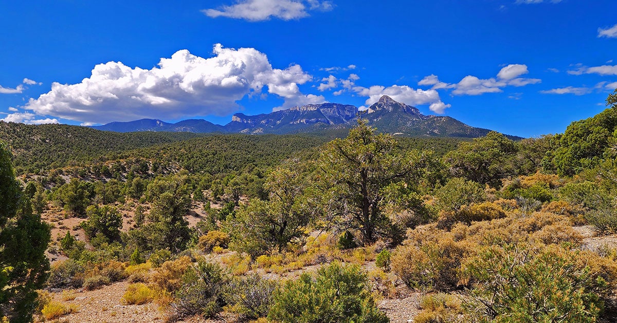 Deer Creek Catch Pen Loop | Lee Canyon, Nevada | Las Vegas Area Trails